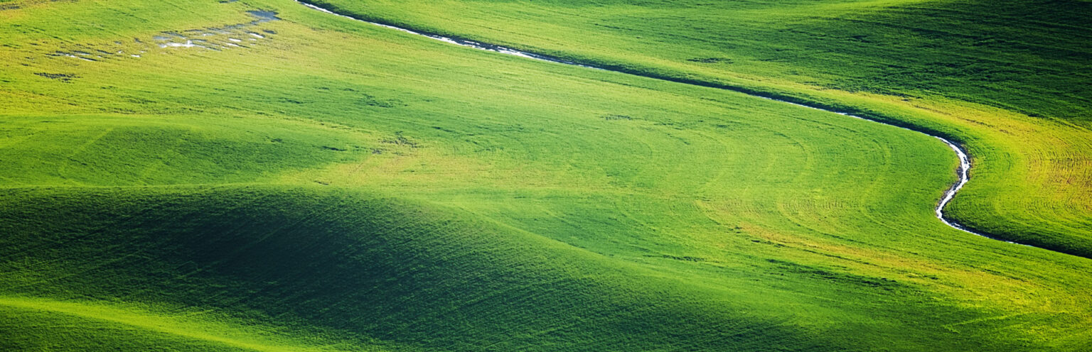 Sheila Tendy named as Super Lawyer 2013 - 2024 - Tendy Law