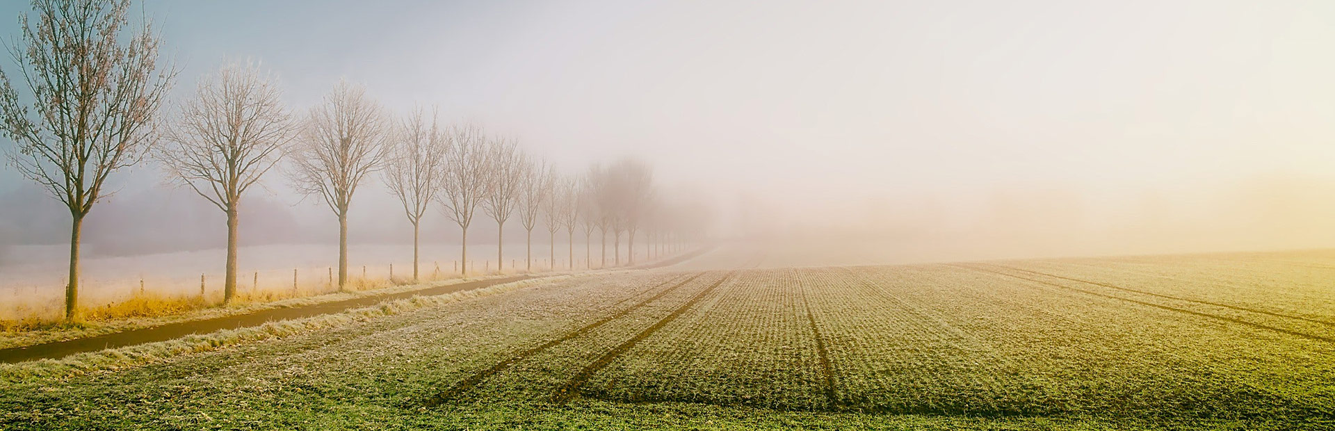 Sheila Tendy, Managing Partner | Tendy Law